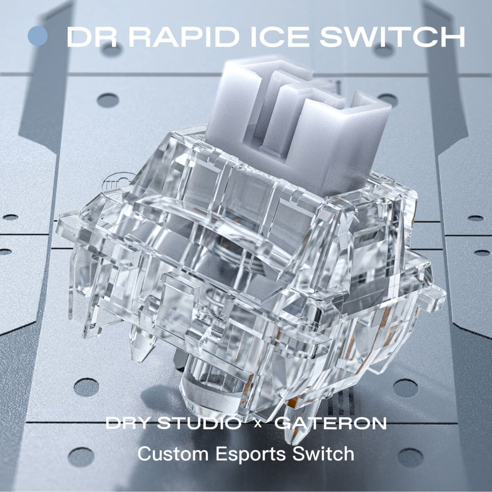 DR Rapid Ice Gaming Switch