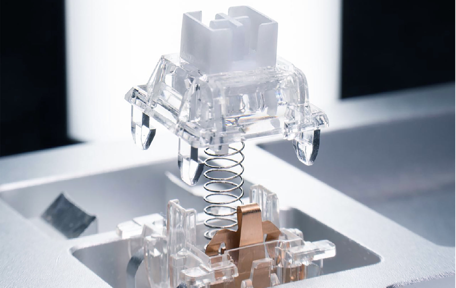 [DRY STUDIO x Gateron Custom Made] DR Rapid Ice Switch